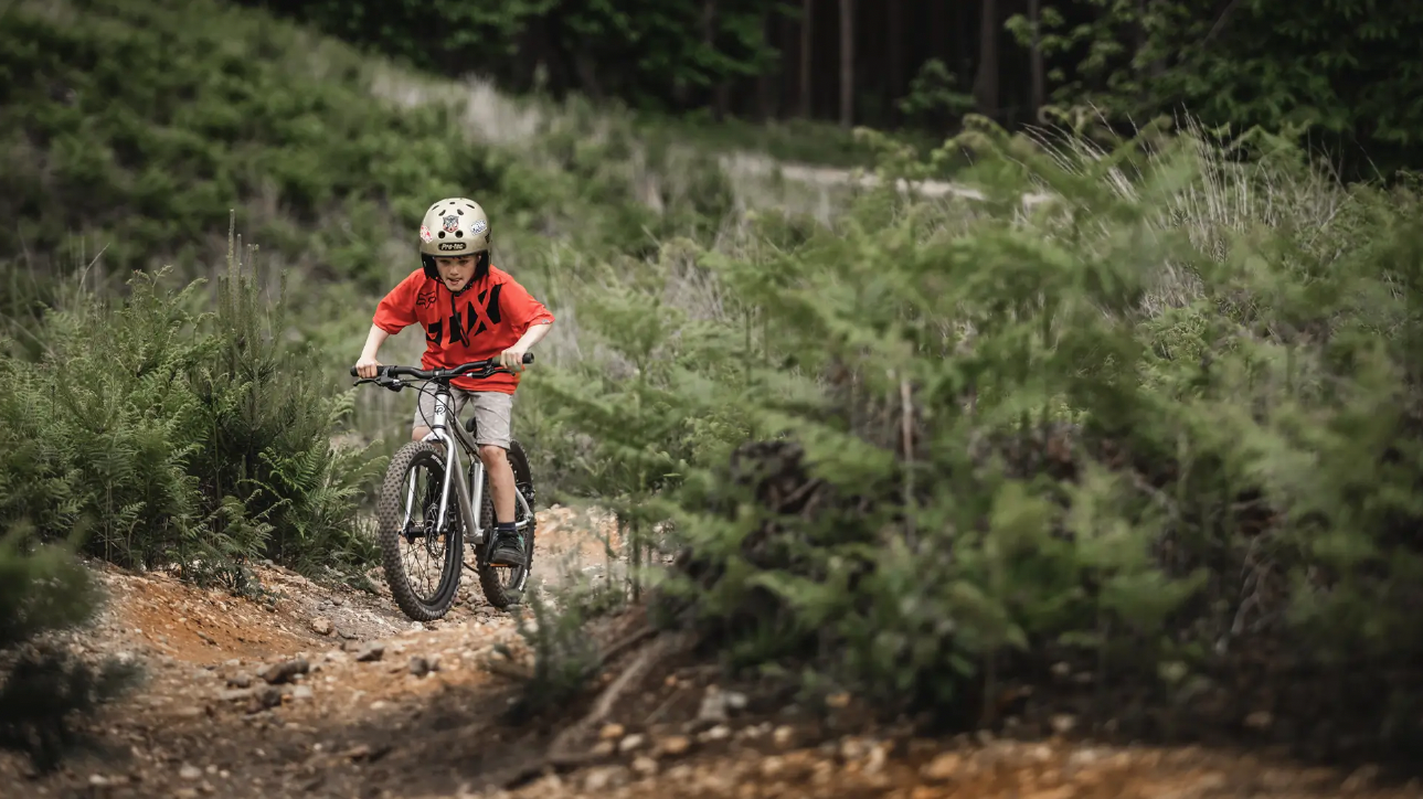 Velio bikes – Early Rider® EU